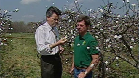Larry Sprinkle visits marshmallow tree farm | wcnc.com