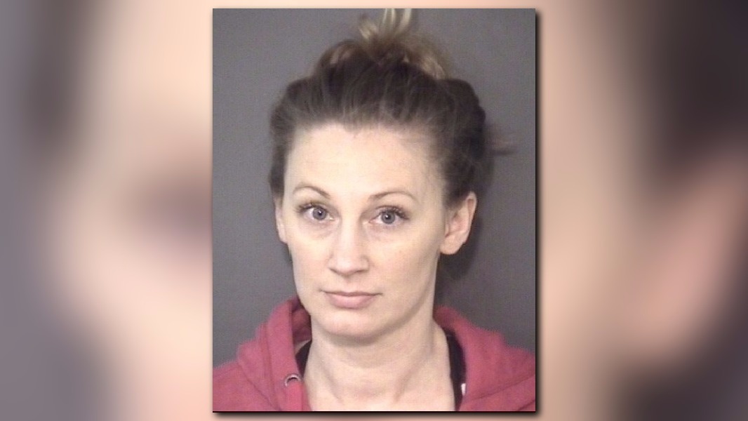 Union Co. mom surrenders after hiding from authorities with daughter | wcnc.com