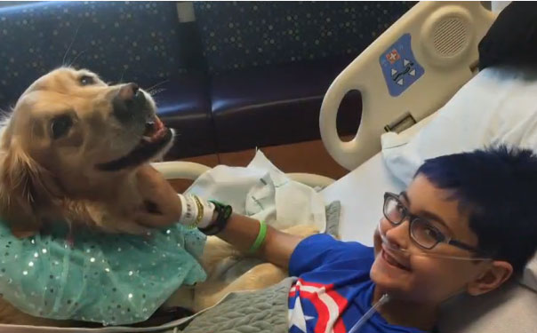 Elijah's legacy lives on after cancer battle | wcnc.com