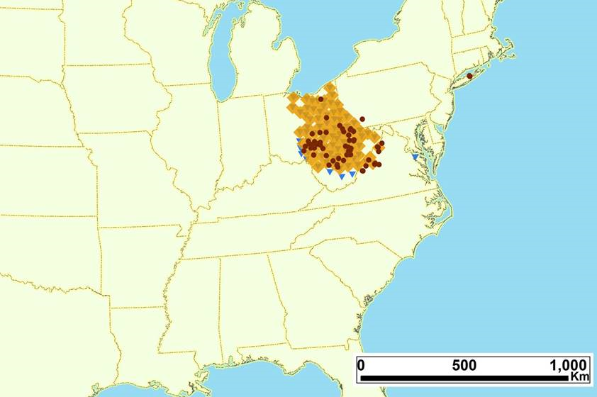 17-year cicadas are coming-- as many as 1.5M an acre | wcnc.com